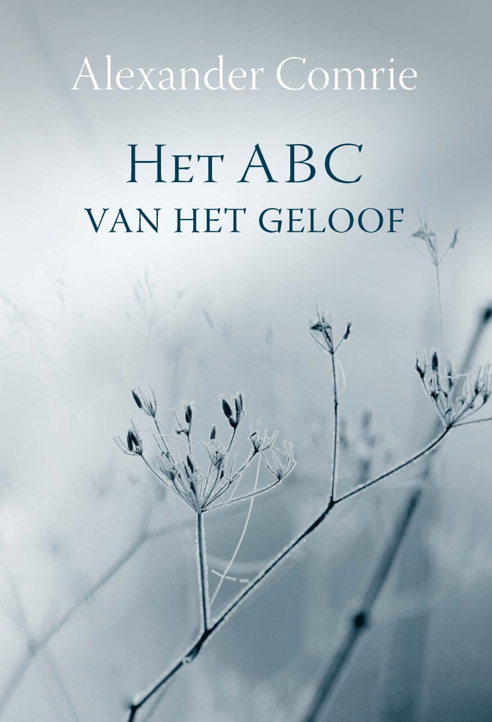 Het ABC van het geloof - Alexander Comrie - 9789462781689 - De Banier